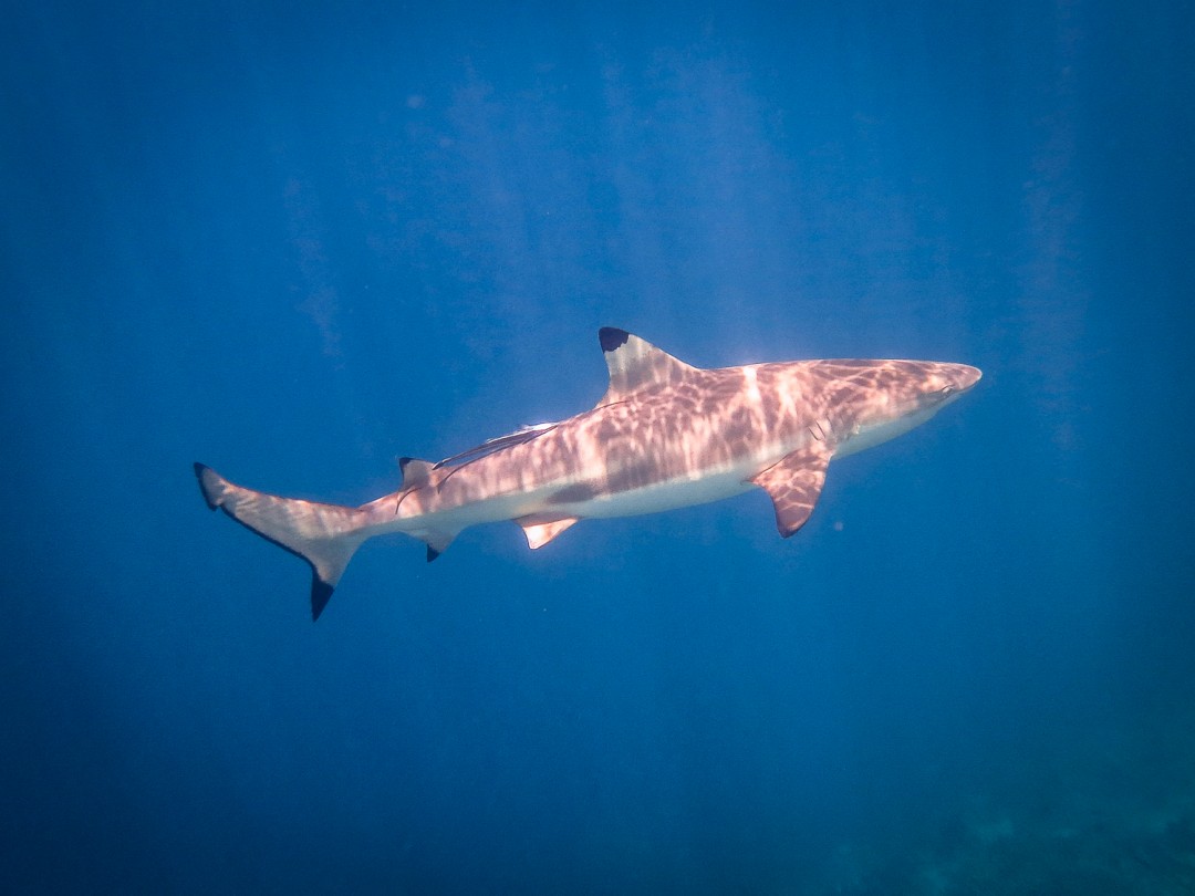 Travel Guide Baros | Seelenschmeichelei