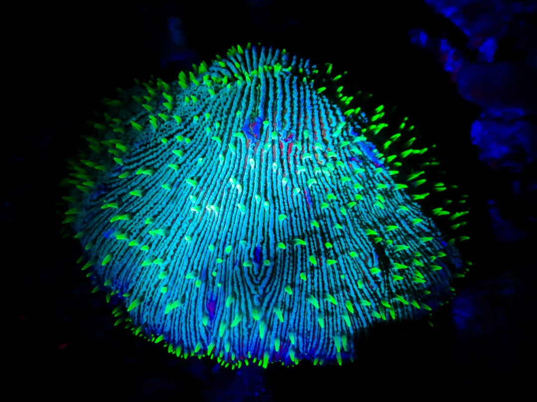 Travel Guide Baros | Seelenschmeichelei