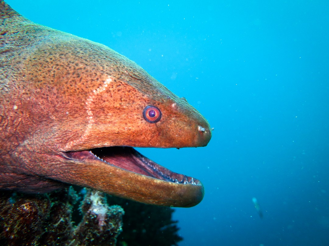 Travel Guide Baros | Seelenschmeichelei