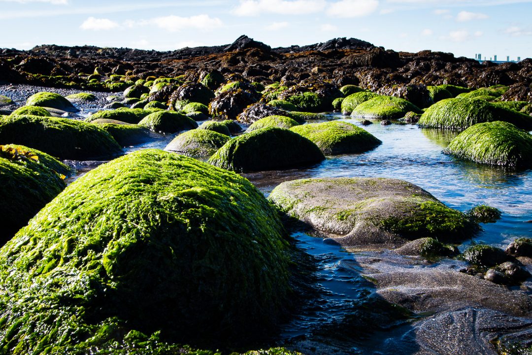 Reisebericht Island: Reykjanes | Seelenschmeichelei