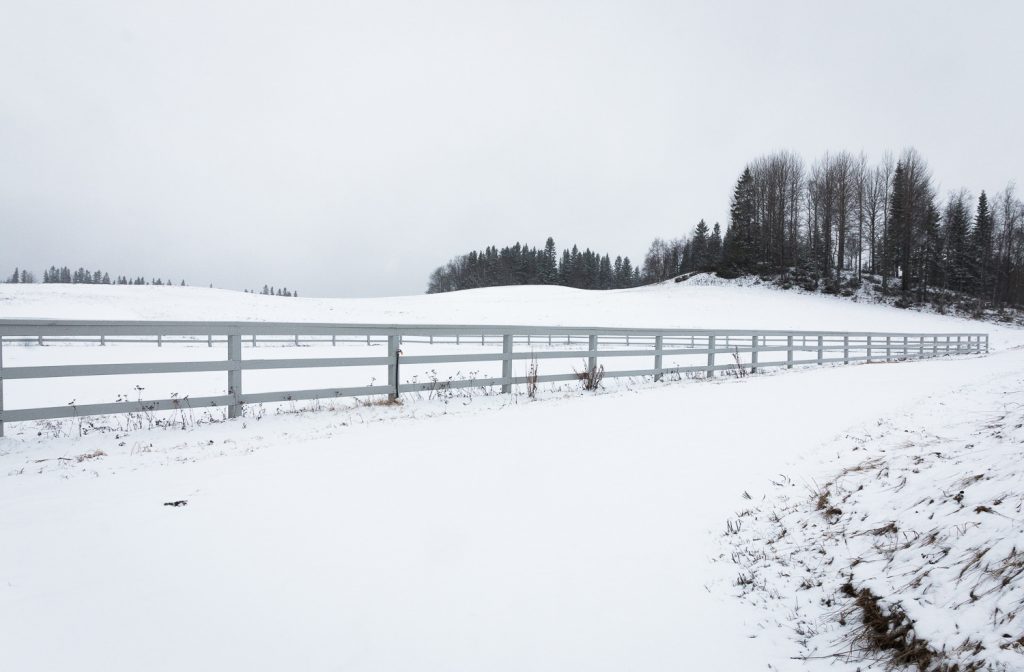 Faviken | Seelenschmeichelei